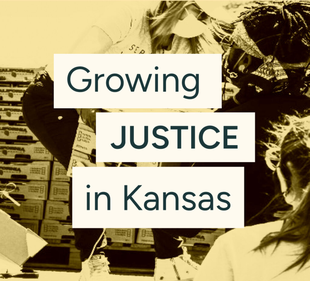 Wichita Gang List | Kansas Appleseed